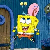Spongi fun