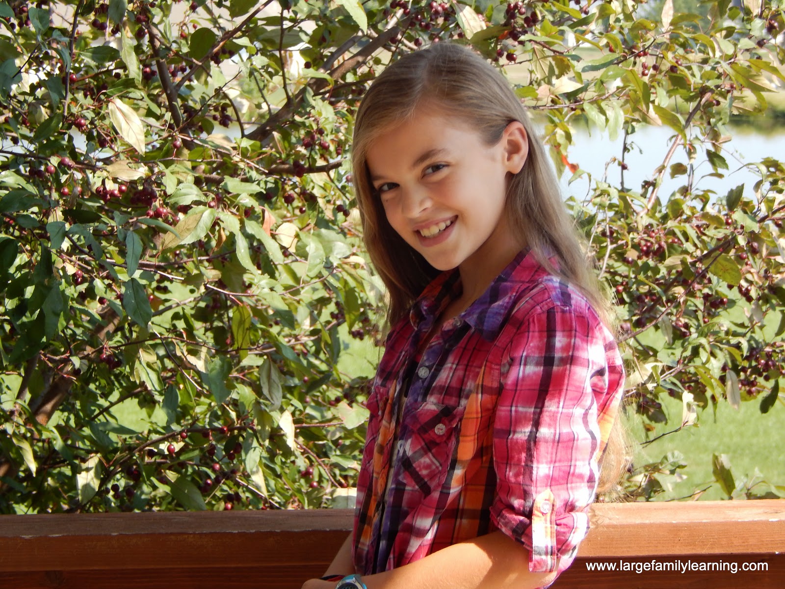 Large Family Learning