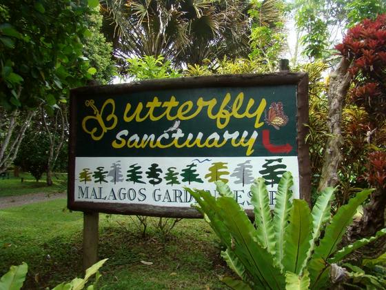 Make It Davao: Malagos Garden Resort