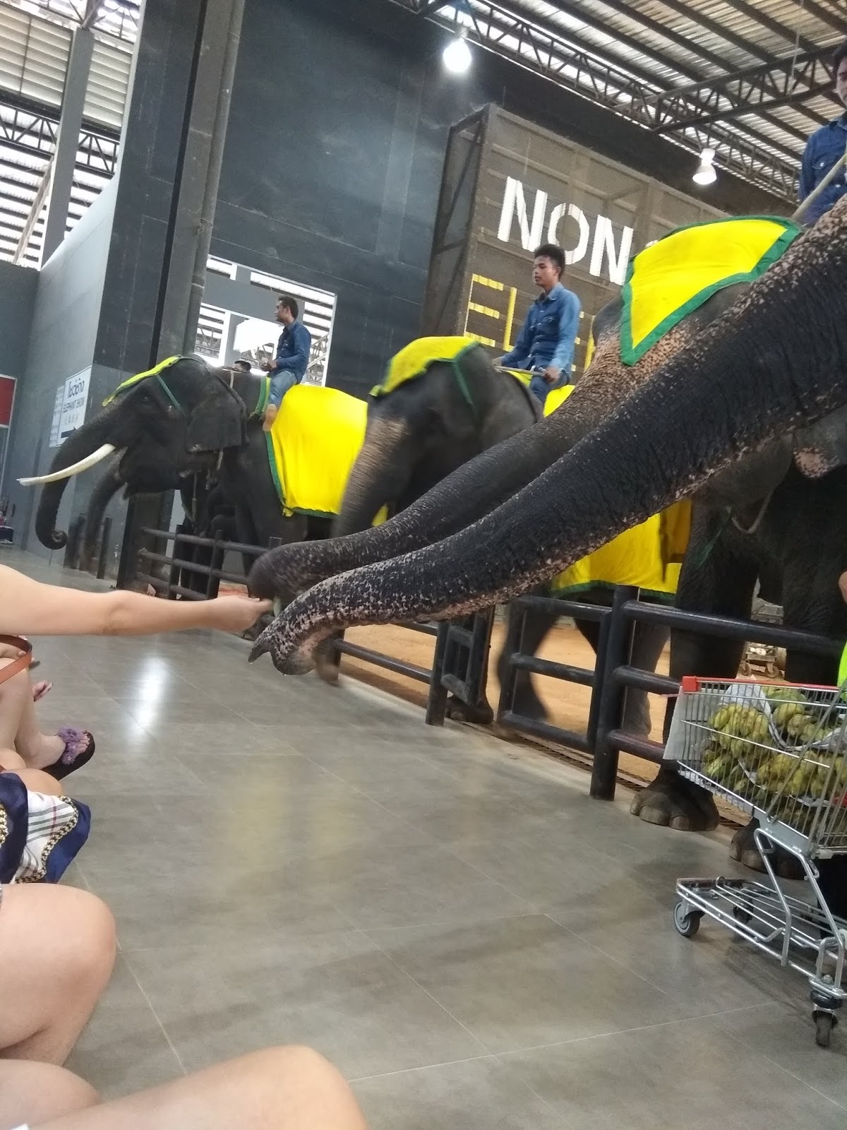 Animal shows: Boon or Ban?