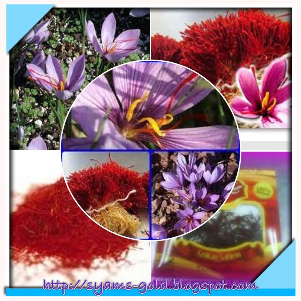 SyamSGold...Borong 4 All: ZAFARAN @ SAFFRON