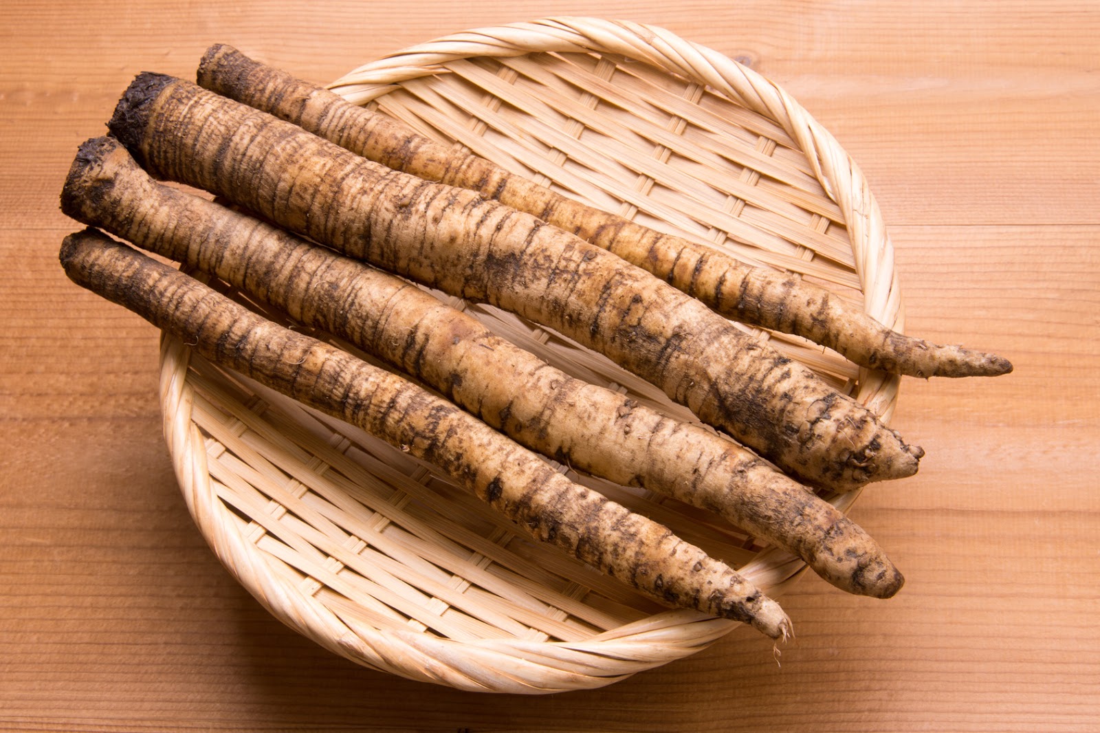 CHEF SAMBRANO: GOBO or BURDOCK ROOT