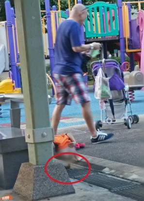 Ben Hur Plug Up: Yuck! Man Allows A Younger Girl To Poop Openly At The ...