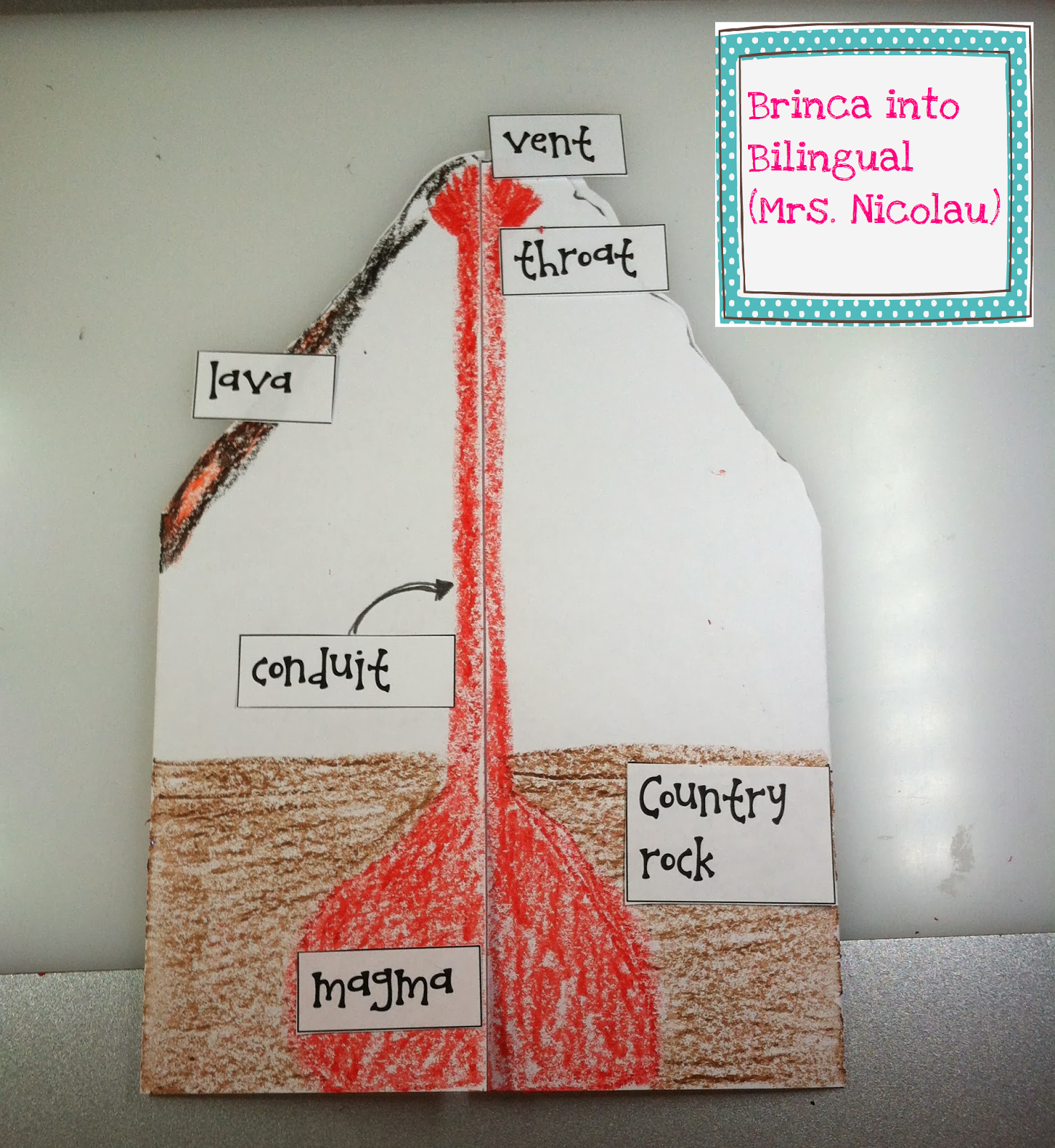 Brinca Into Bilingual (Mrs. Nicolau): Better late than never ...