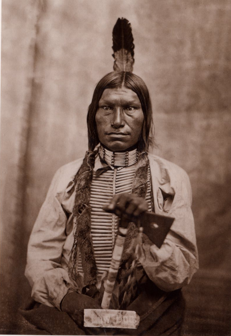 Bob's World: Curley Appears