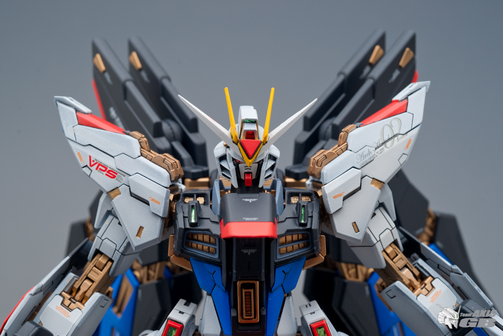 GUNDAM GUY: 1/100 ZGMF-X20A Strike Freedom Gundam Resin Conversion Kit ...