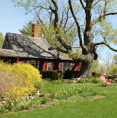 The Spice Garden: Pickity Place ... Lunch and Herbs