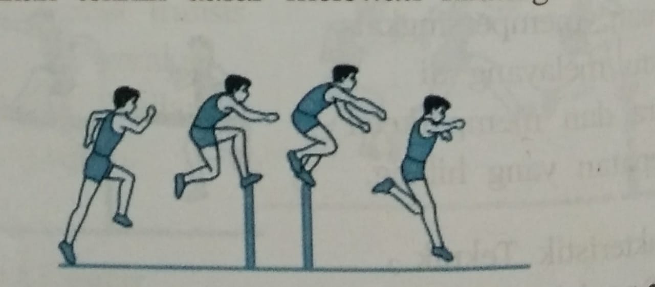 Sport Science: Lari Halang Rintang