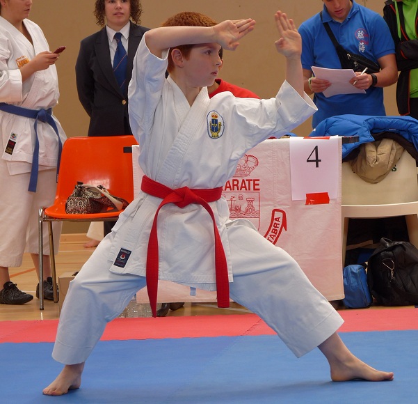 JOSÉ MANUEL MAYO ENTRENADOR PERSONAL: Kata Pinan Yondan