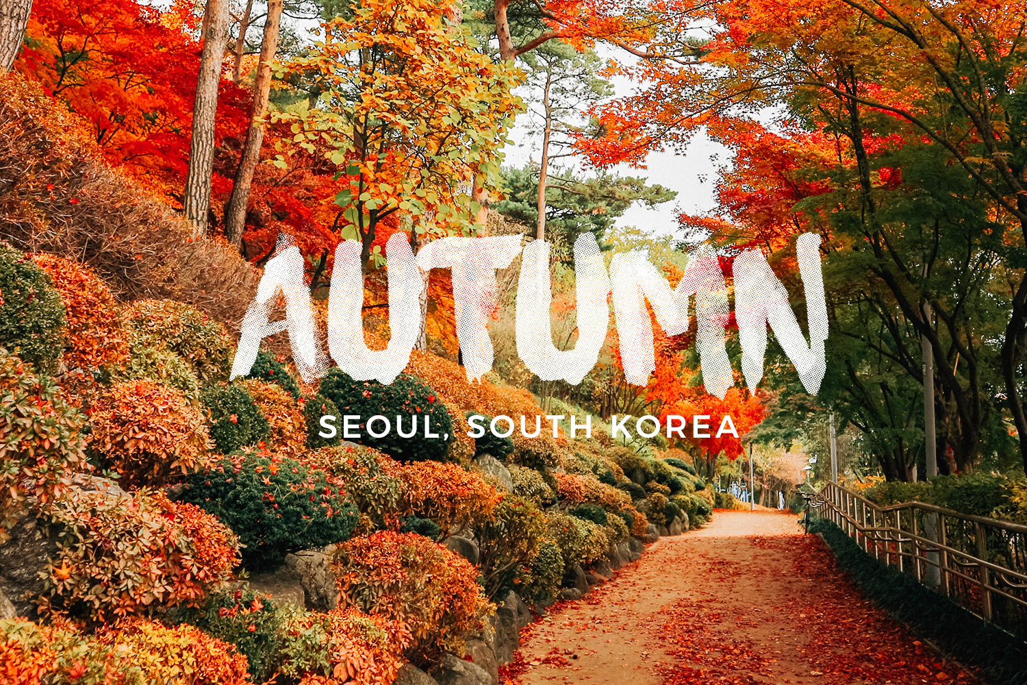 The Geek Travels: Autumn in Seoul, South Korea