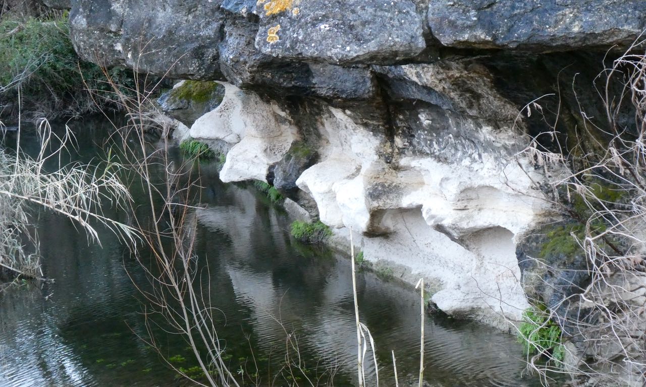Greg's Running Adventures: Deep in the Heart of Texas