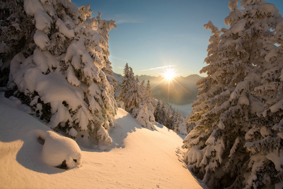 High Resolution Pictures, Nice Pictures, Best Scienaries, Different ...