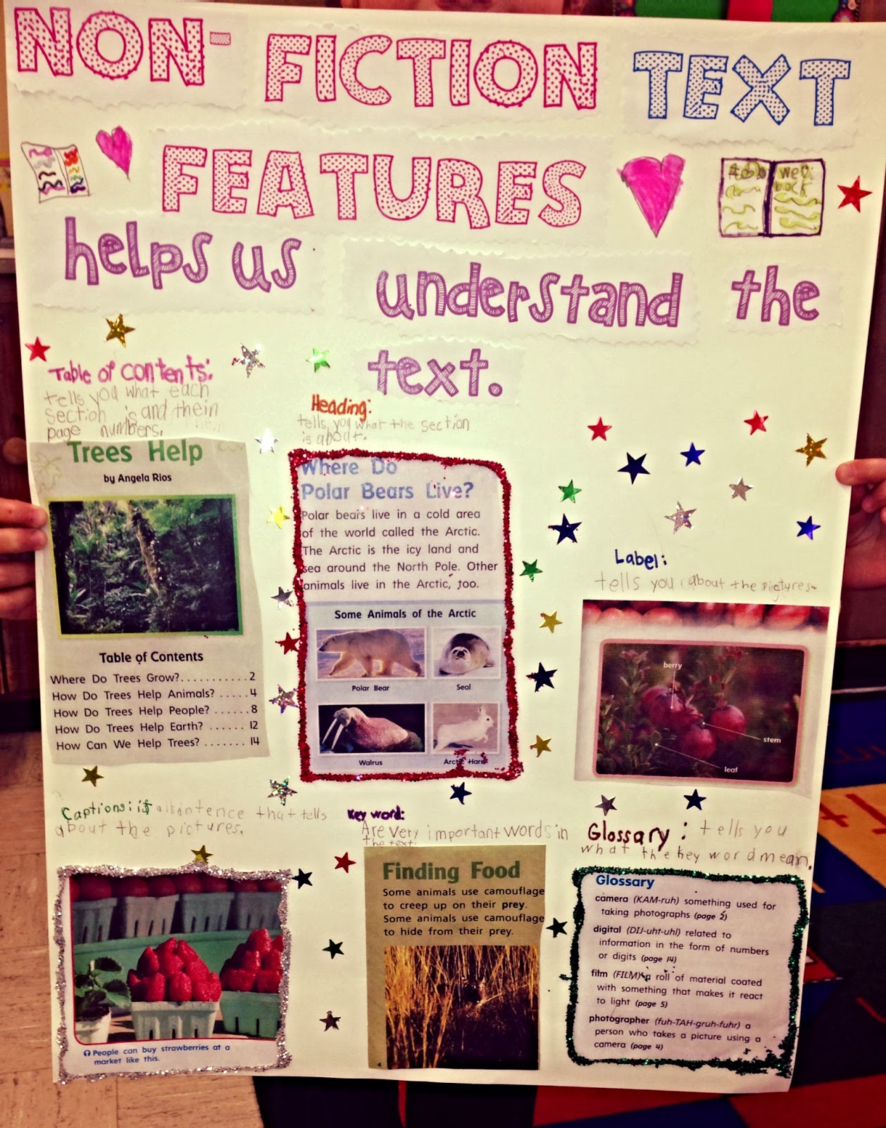 Thrills and Frills in First: Non-Fiction Text Features and a Freebie