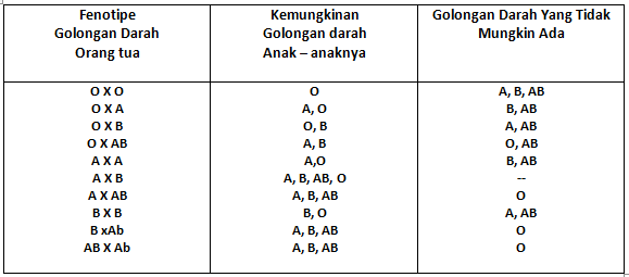 Golongan Darah Penggolongan Darah Sistem Darah A,B,O - M,N dan Rhesus ...