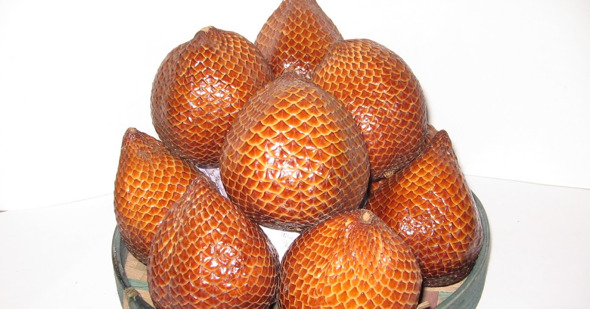 Inspirasi Gambar Buah Salak