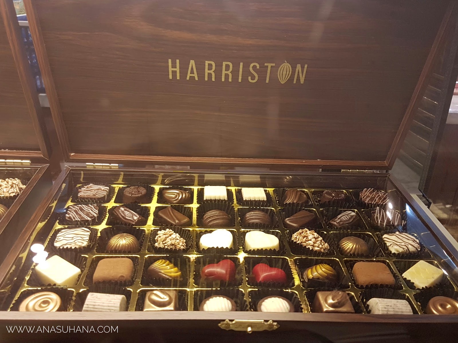 Harriston Chocolate - Coklat Jenama Tempatan Bertaraf Dunia - Ana Suhana
