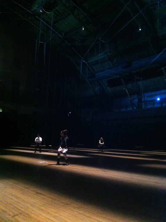 artbouillon: Curtain Call: Ann Hamilton at the Armory