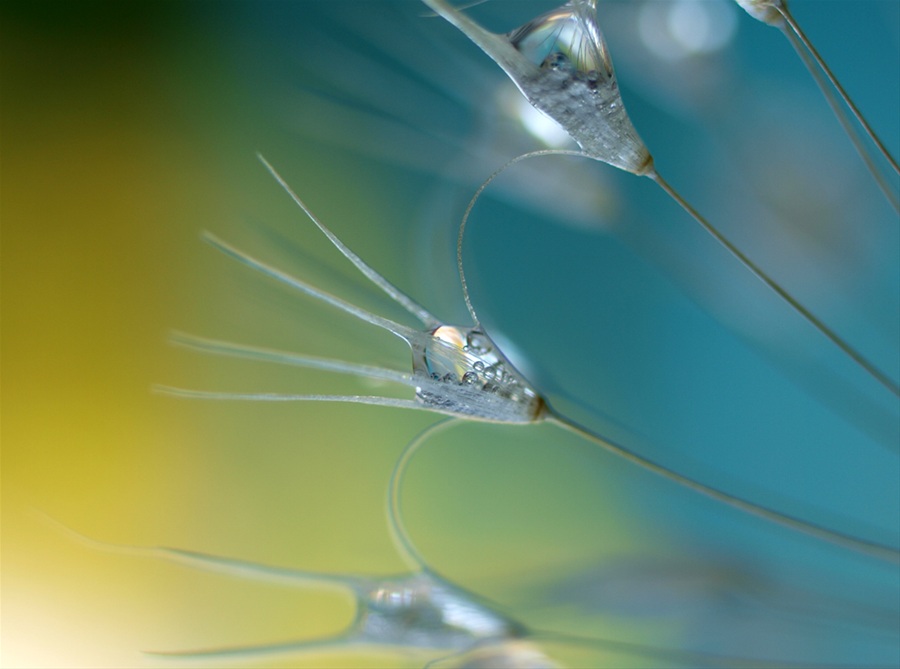 Surreal . Fine Art . Conceptual Photography/ Arts: Sandra McCabe's ...