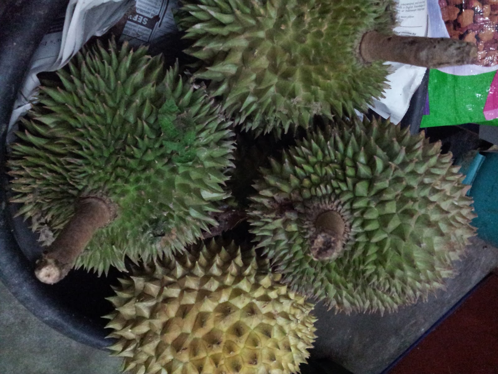 Durian Hutan/Kampung Lagi Terbaik dari Raja Durian Alphabet!! | Iceboxrivet