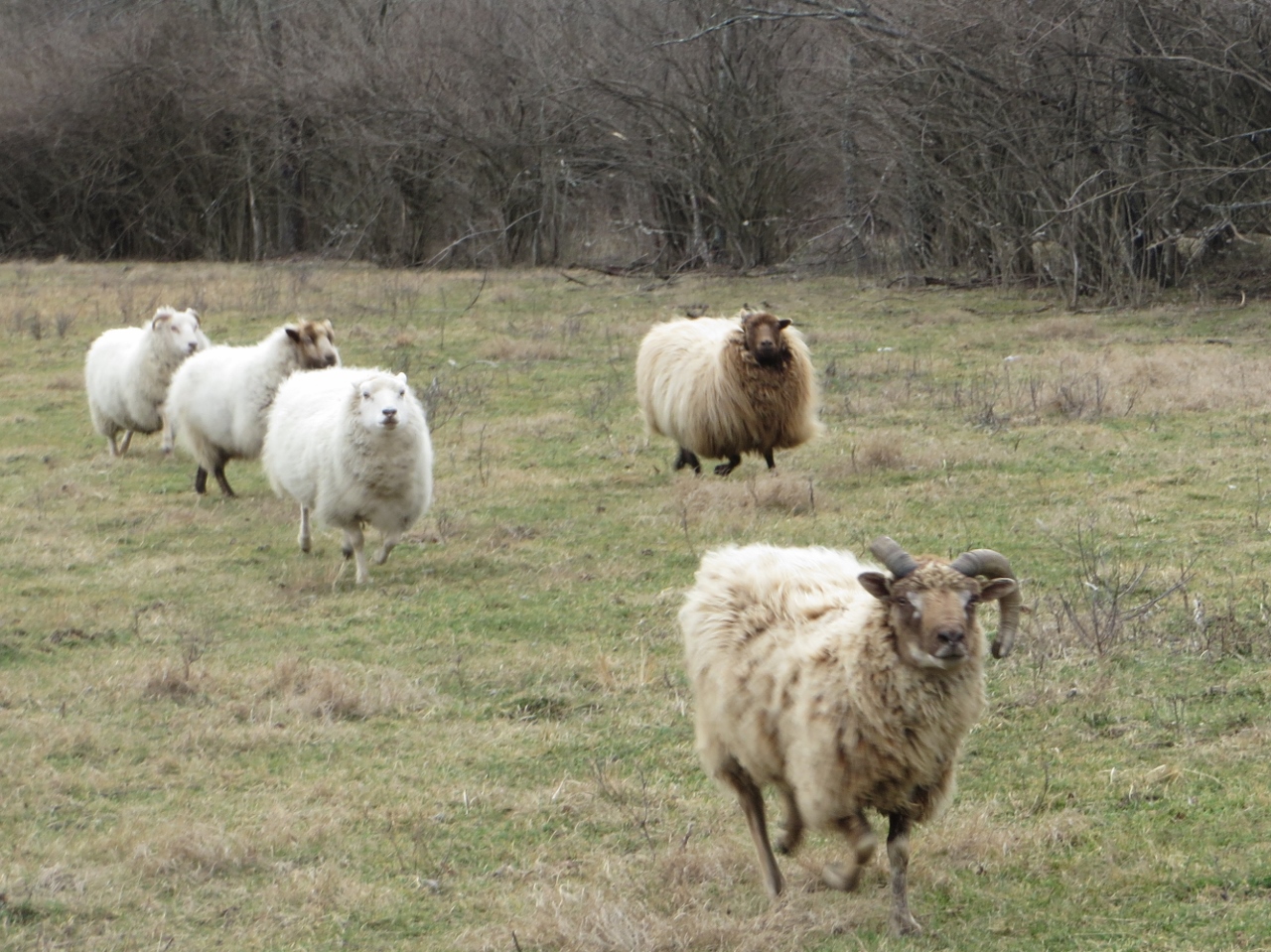 A Frolic through Time: Period Costuming and the Occasional Side Trip ...