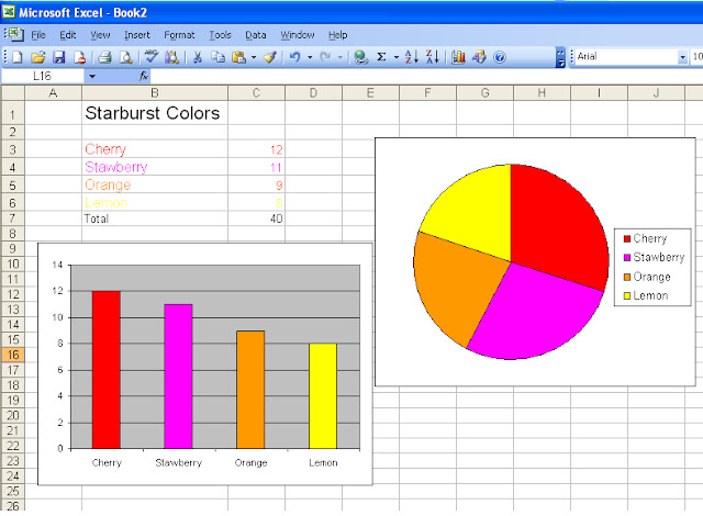 Sawyer Computer Class Units: Charting Excel Unit, 4th & 5th