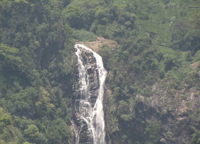 Tamilnadu Tourism: Catherine Falls, Ooty