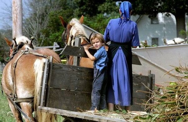 Hay Quaker: "Let your life be modest~ Amish Rules of a Godly Life
