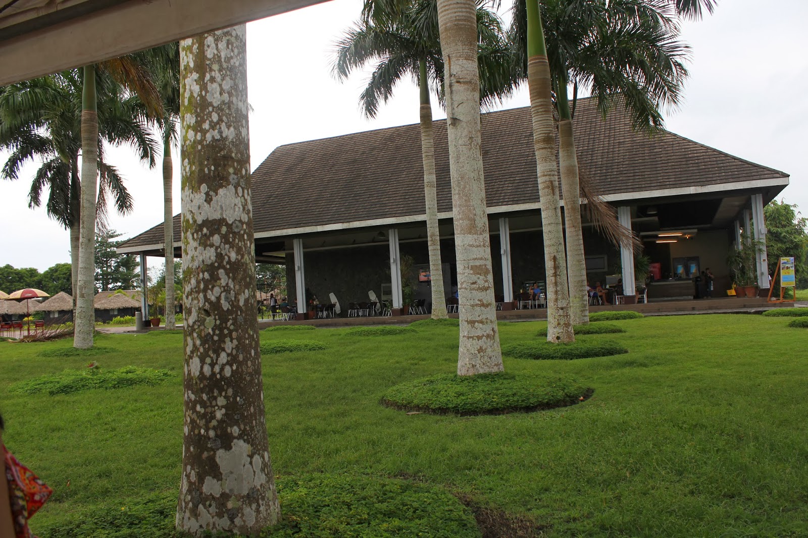 Stay, Stray, Play and Feast: Awesome Feast at CWC Clubhouse Awesome CWC ...