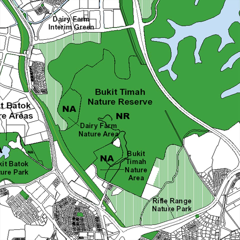 Butterflies of Singapore: Buffer Parks to Nature Reserves