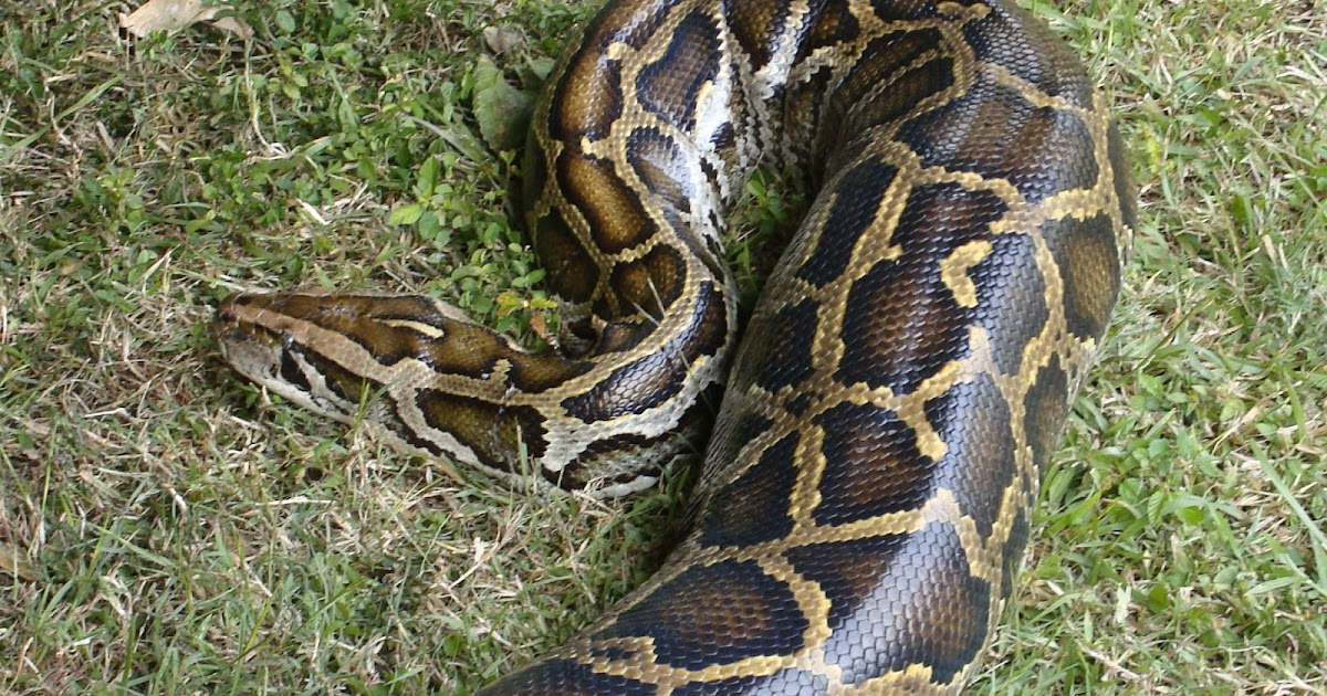 MyBestTime: Another Python Story