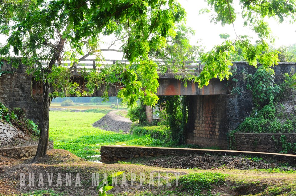 pavumba പാവുമ്പ: Pavumba Image Gallery