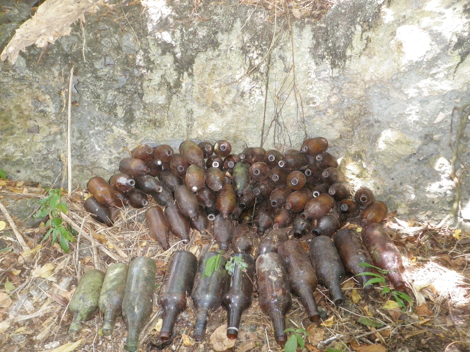 Saipan: Teaching, Living, & Recreation: WWII Relic Hunting in Saipan Update