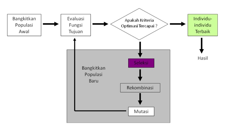 AntaMedika Solution: Algoritma Genetika