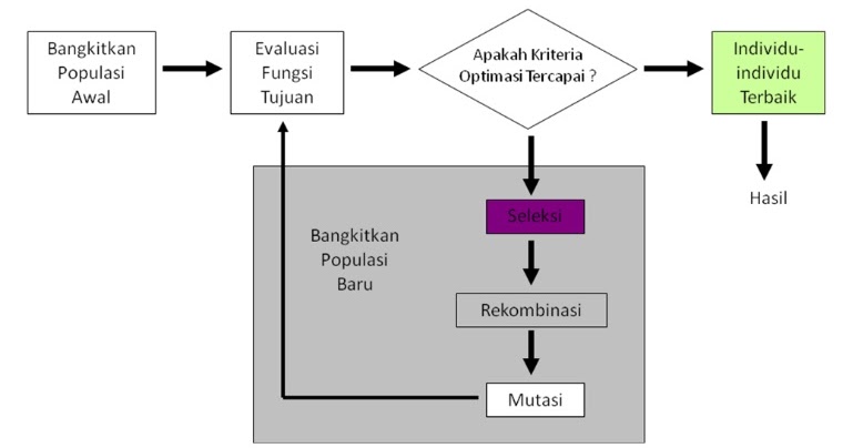AntaMedika Solution: Algoritma Genetika
