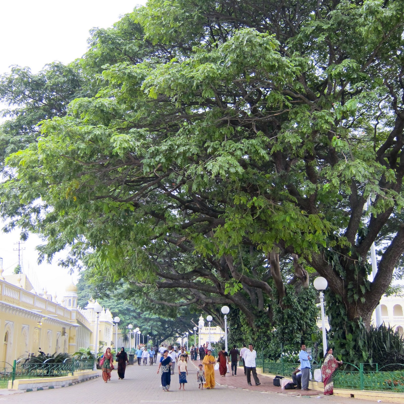 Adventure Mommy: Mysore