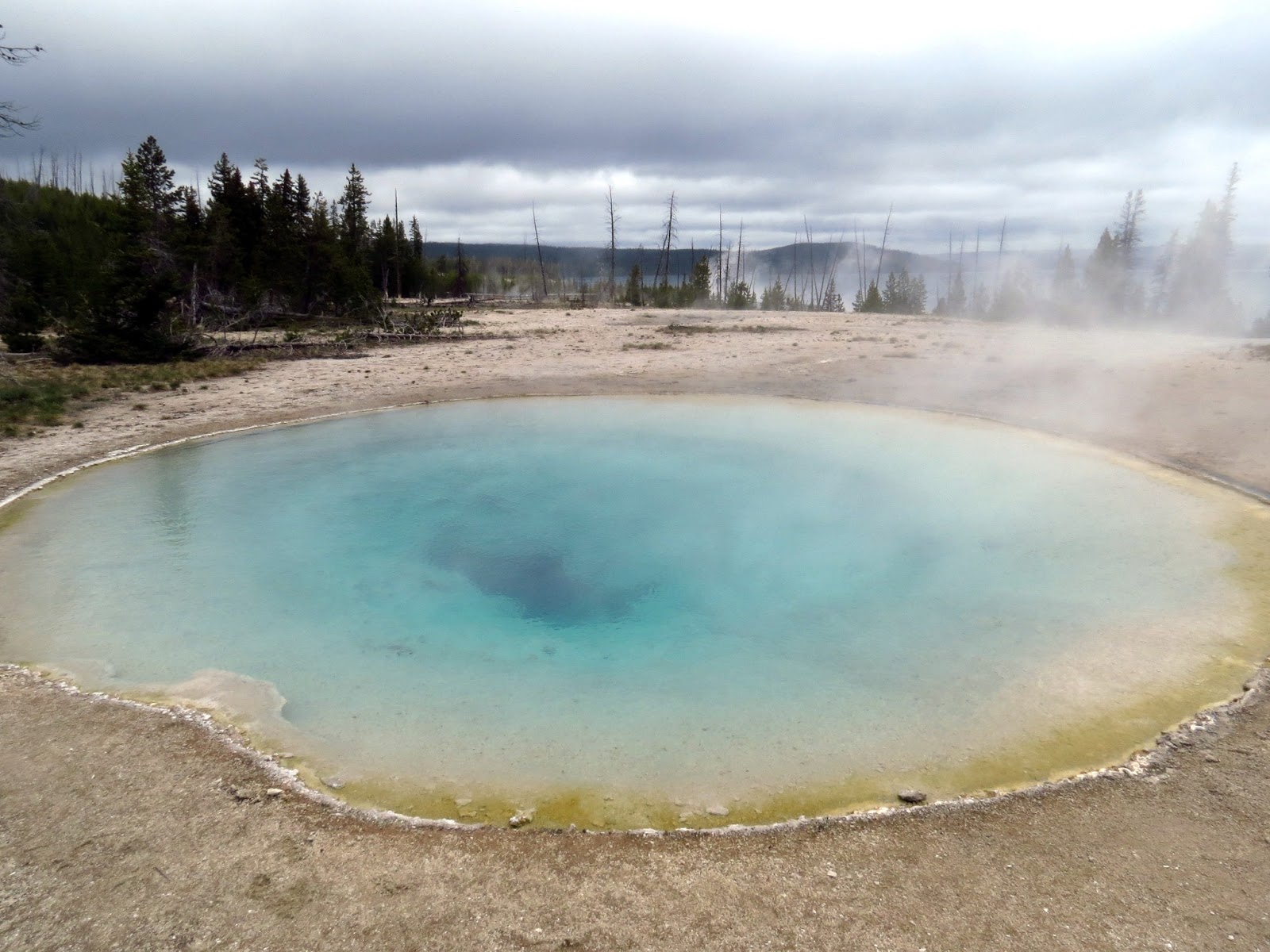 Bezgin Kedinin Gezgin Sahipleri: Yellowstone Vol. I