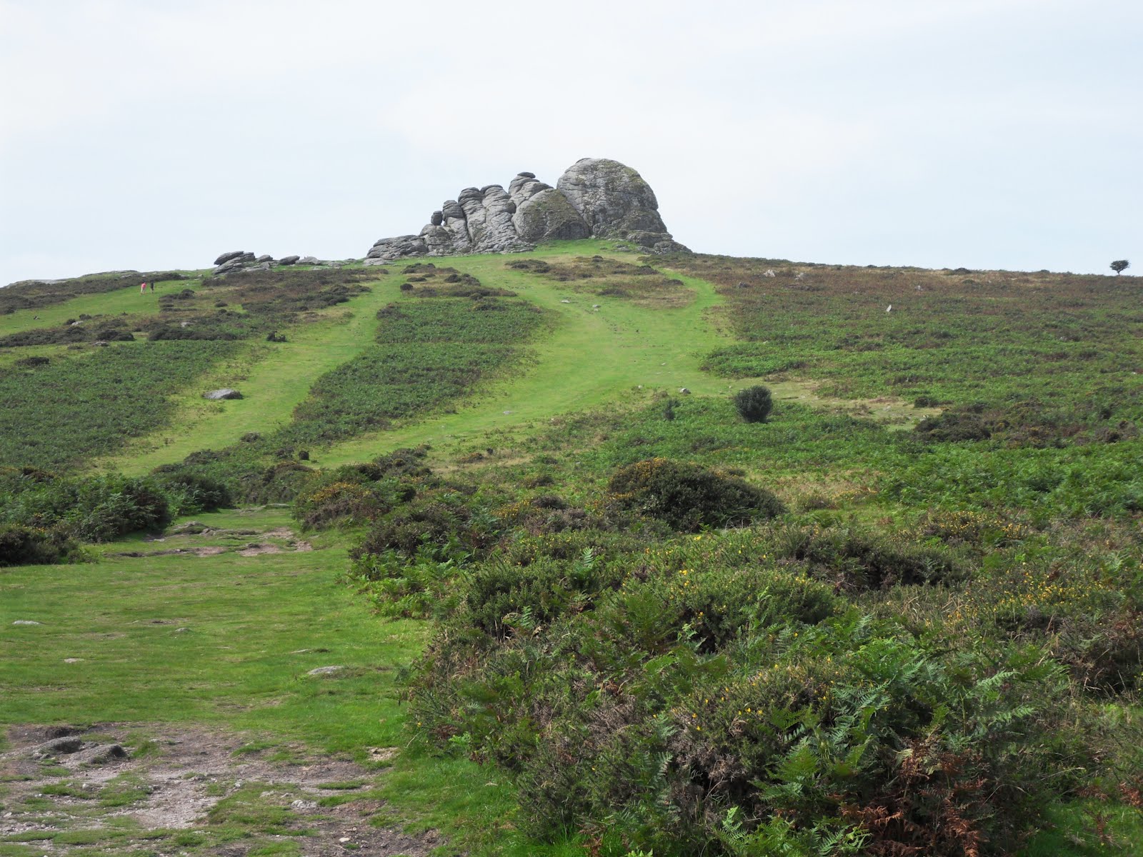67 Not Out: Haytor On Dartmoor