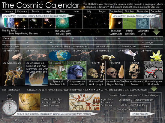 COSMOS : COSMIC Calendar