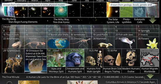 COSMOS : COSMIC Calendar