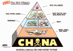Power House Home Store: Food Pyramid into the Eatwell Plate