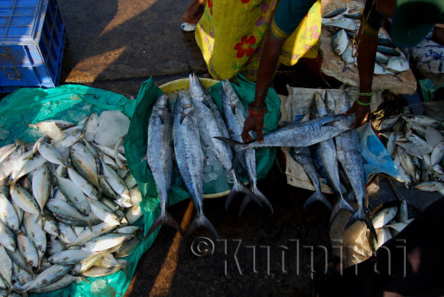 Kudpiraj's Garam Tawa: Fishing in Mangalore