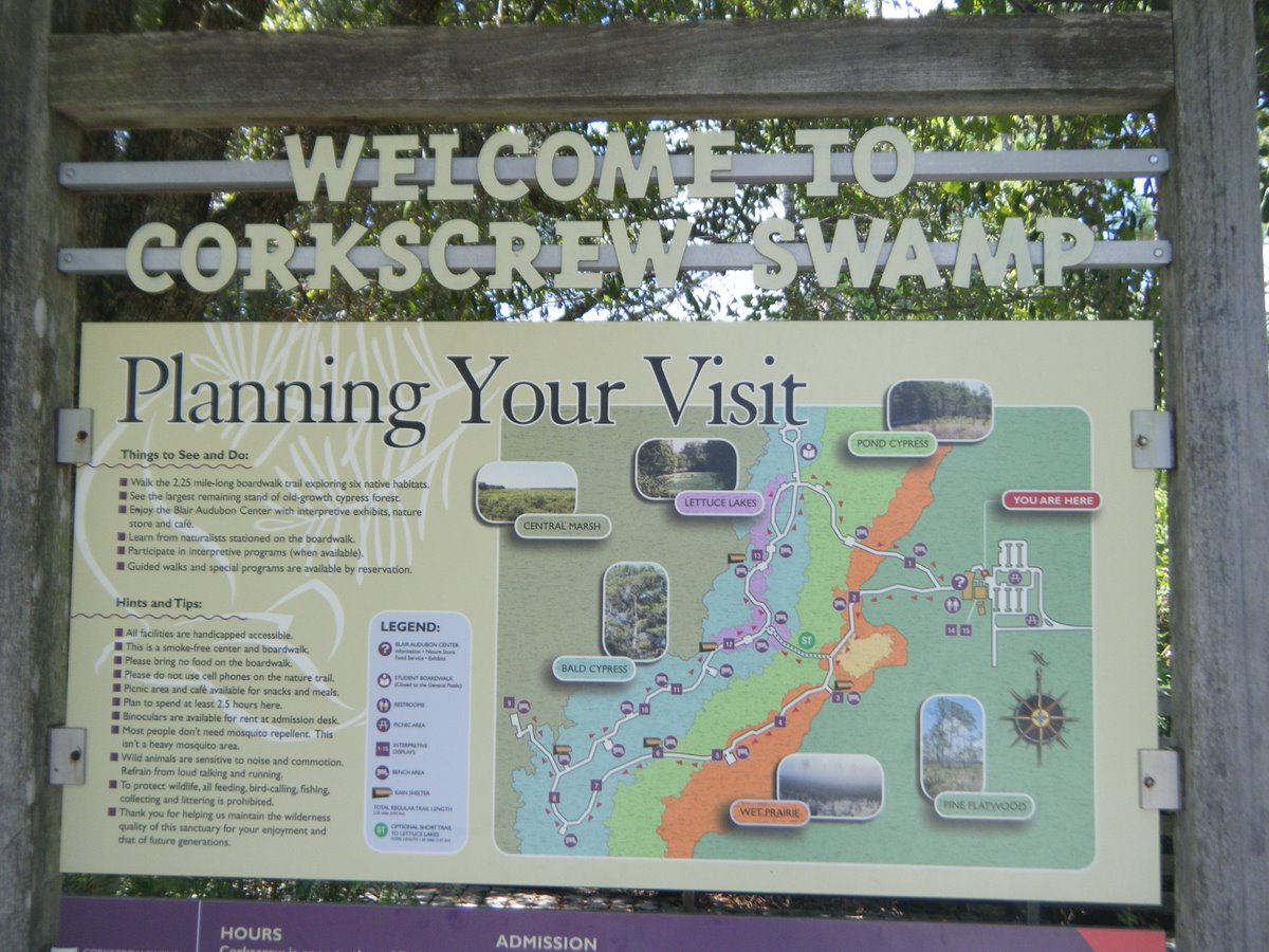 Field Notes and Photos: Corkscrew Swamp: an Audubon Society Sanctuary