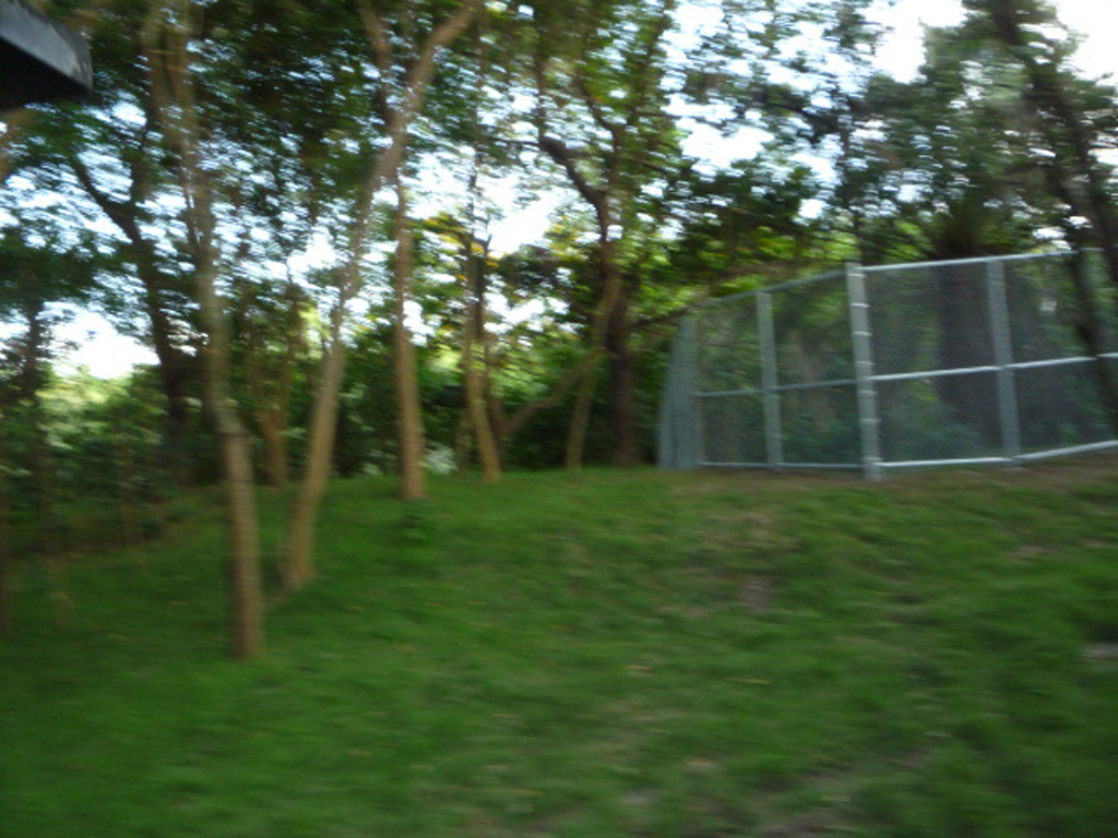 Ultimate Orlando Blog: Zebra enclosure construction