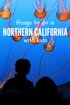 jess and the gang: Things to do in Northern California with Kids