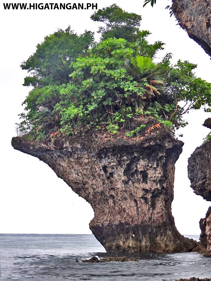 Hagdan Beach Resort - 8th Infantry Division