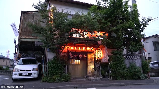 There's a restaurant in Japan using monkeys as waiters | Amazing WTF Facts