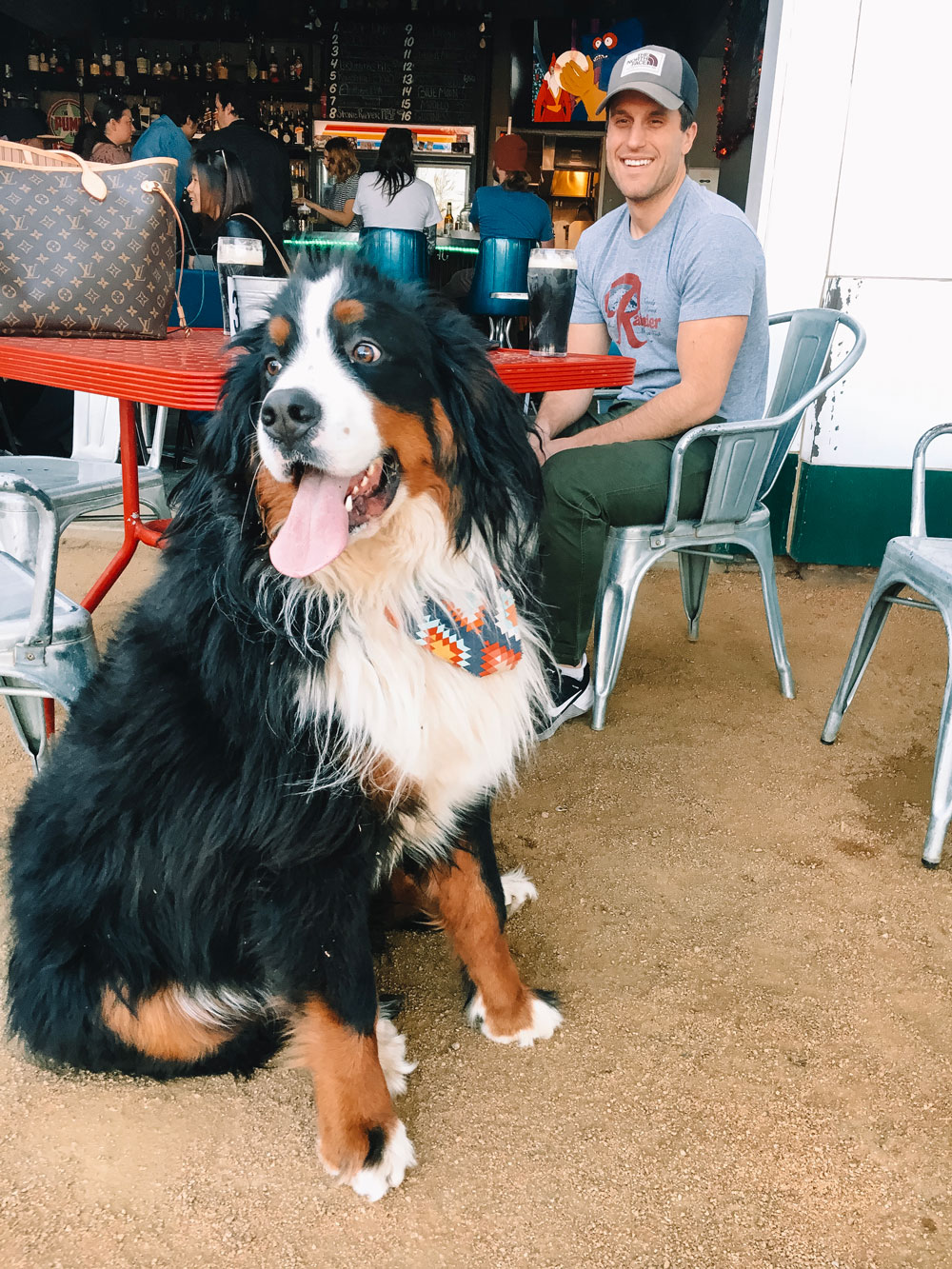Best of OKC Dog Friendly Spots - Amanda's OK | A Lifestyle Blog