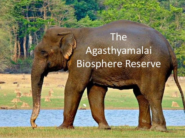 INDIAN HISTORY AND TRADITION : Agasthyamalai Biosphere Reserve is among ...