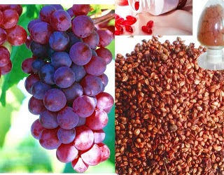 Manfaat Biji Anggur Untuk Kesehatan - DUNIA HERBAL
