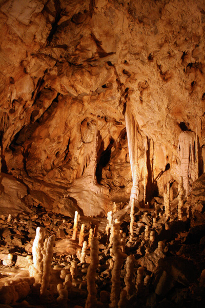 EXCURSII DE WEEKEND: Pestera Ursilor